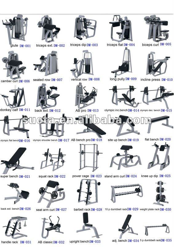 Gym Gym Names Gym Gym Names